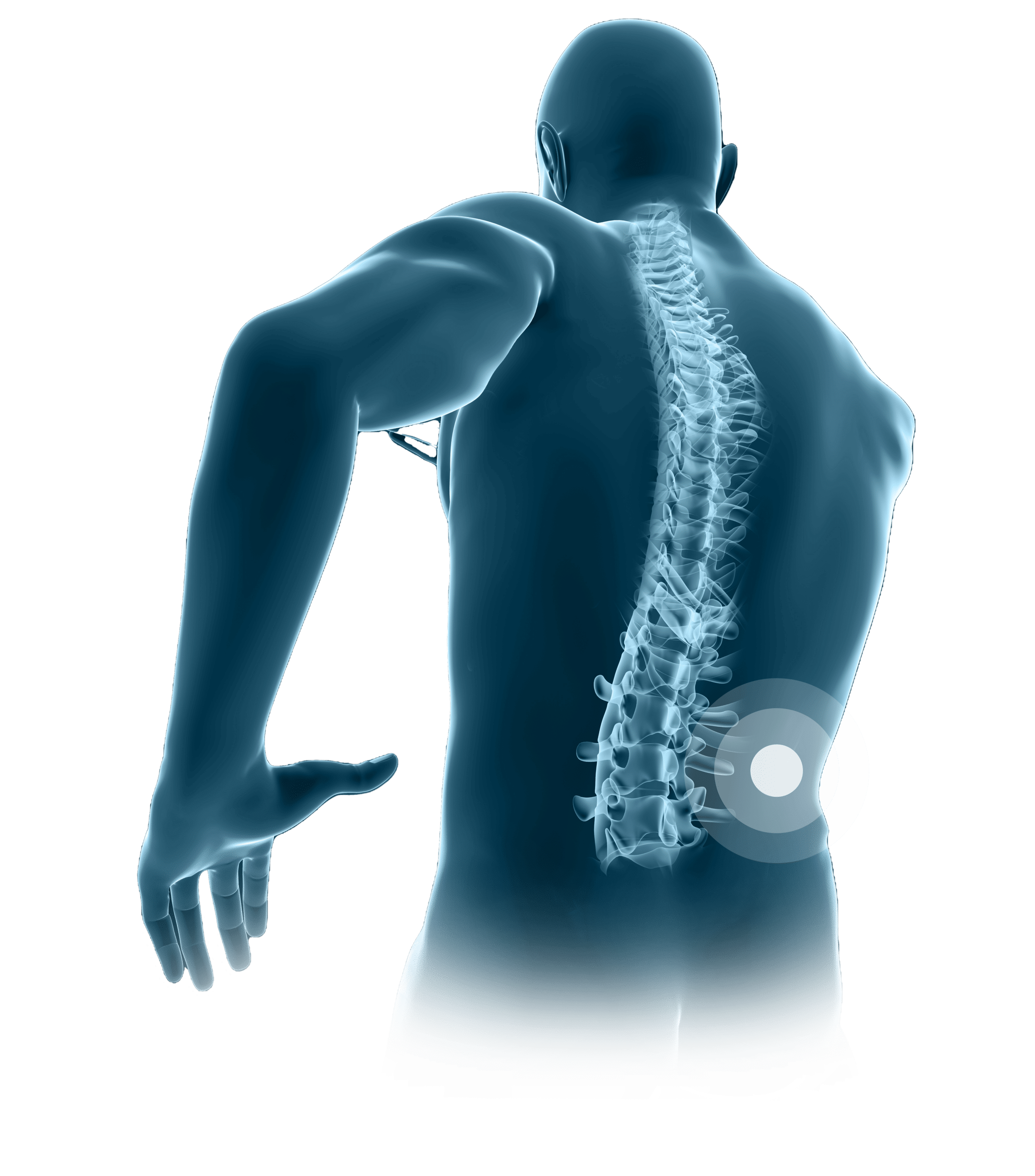 Kinetisense Motion Analysis | ChiroFit